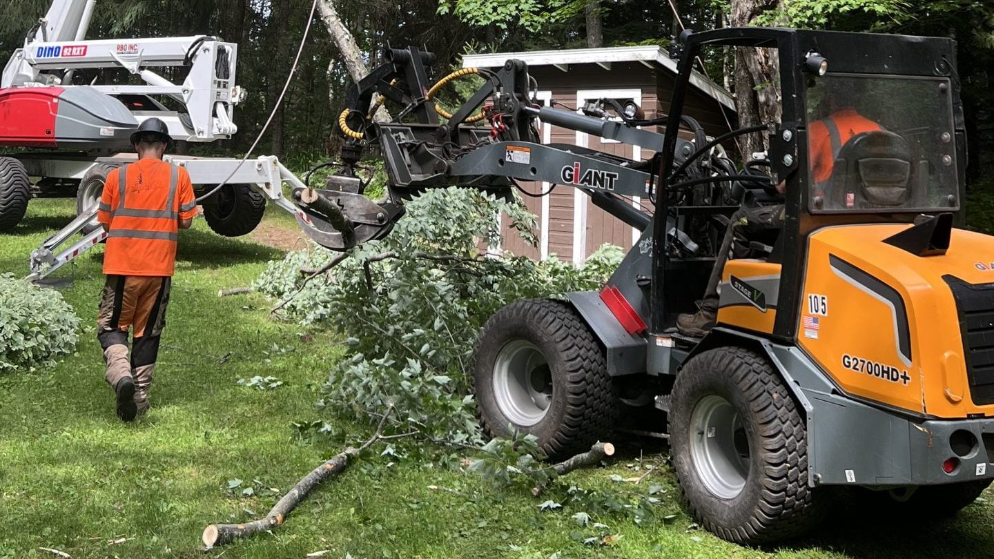 Expert Tree Services in Wisconsin | Foley's Tree Service LLC